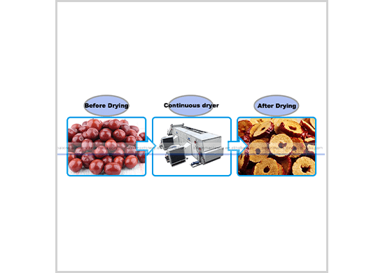 Dates drying machine