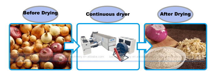 Onion drying machine