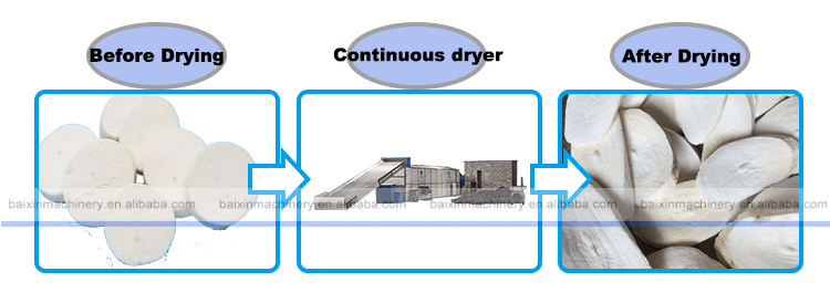 Cassava drying machine