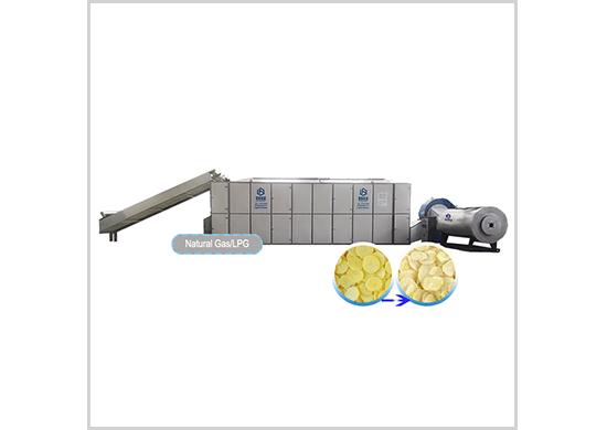 potato dryer/drying machine
