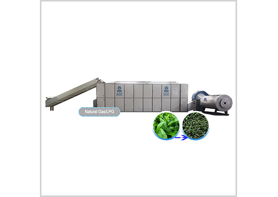 tea dryer mesh belt dryer cassava chips/charcoal coal briquettes drying ...
