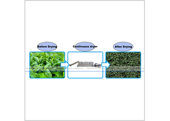 tea dryer mesh belt dryer cassava chips/charcoal coal briquettes drying ...