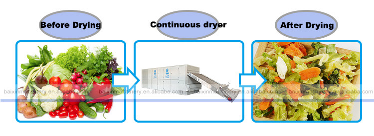 Vegetables drying machine
