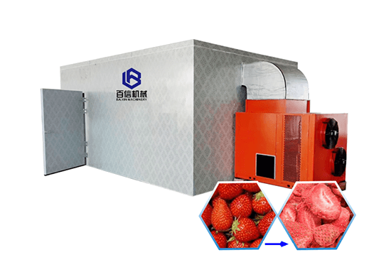 Strawberry dryer machine-Henan Baixin Machinery Equipment CO.,Ltd