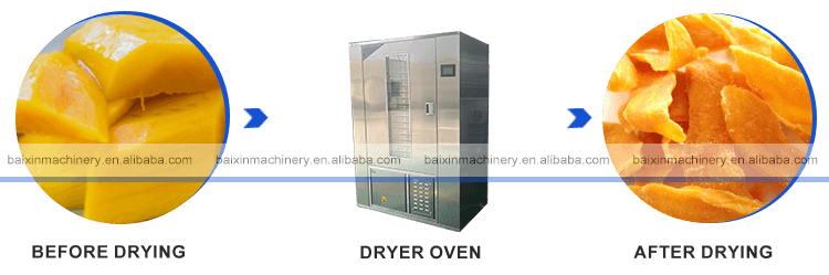 Mango dryer machine-Henan Baixin Machinery Equipment CO.,Ltd