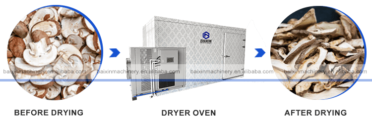 Mushroom dryer machine-Henan Baixin Machinery Equipment CO.,Ltd