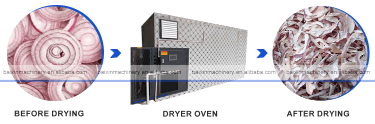 Onion dryer machine-Henan Baixin Machinery Equipment CO.,Ltd