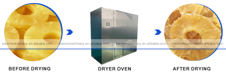 Pineapple dryer machine-Henan Baixin Machinery Equipment CO.,Ltd