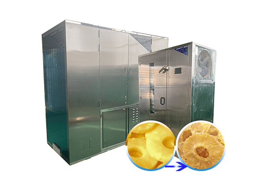 Pineapple dryer machine-Henan Baixin Machinery Equipment CO.,Ltd