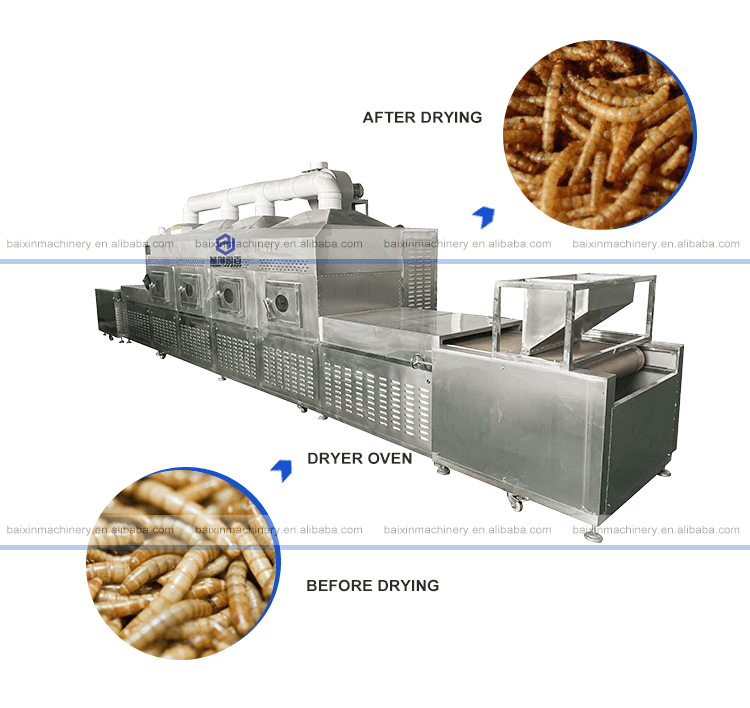 tunnel microwave,continuous tunnel microwave oven,Insect drying machine