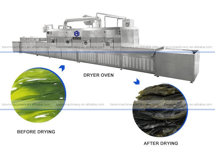 tunnel microwave,continuous tunnel microwave oven,Kelp drying machine
