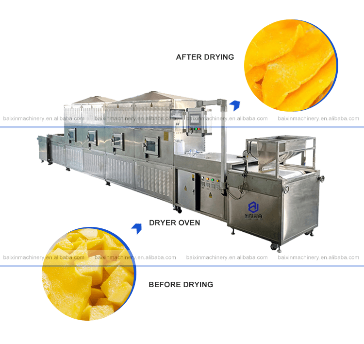 tunnel microwave,continuous tunnel microwave oven,Mango drying machine