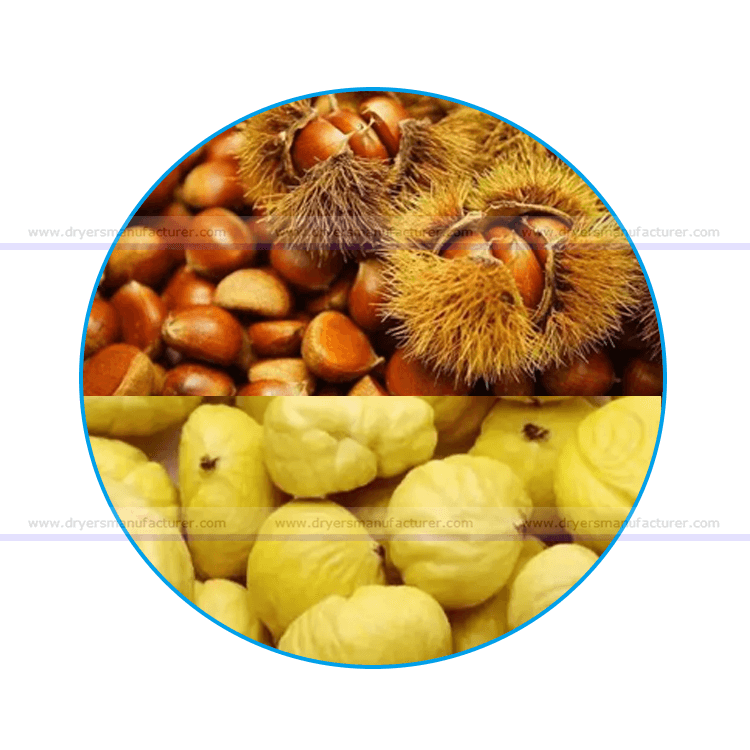 chestnut dryer chestnut drying machine,chestnut dehydrator,chestnut ...
