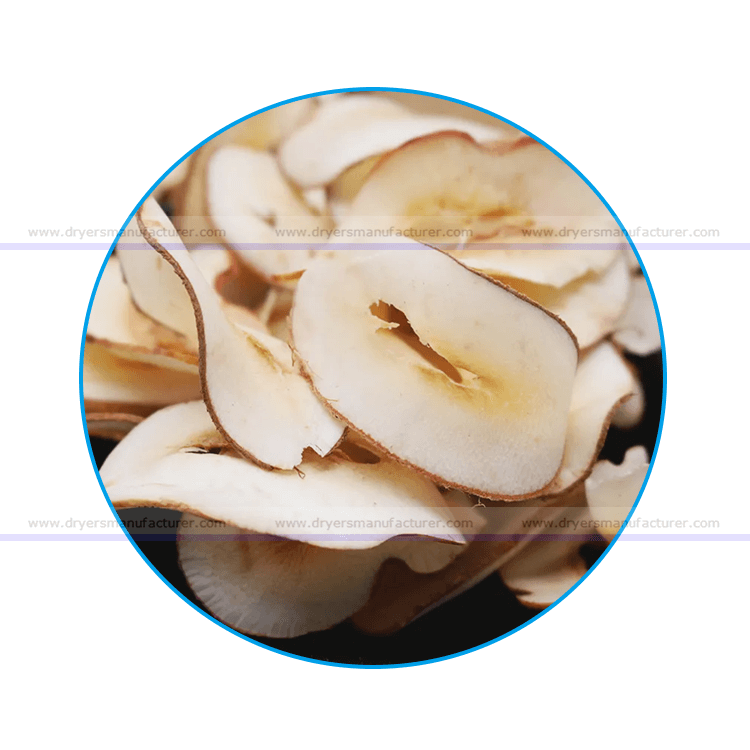 copra dryer copra drying machine,copra dehydrator copra dehydrating ...