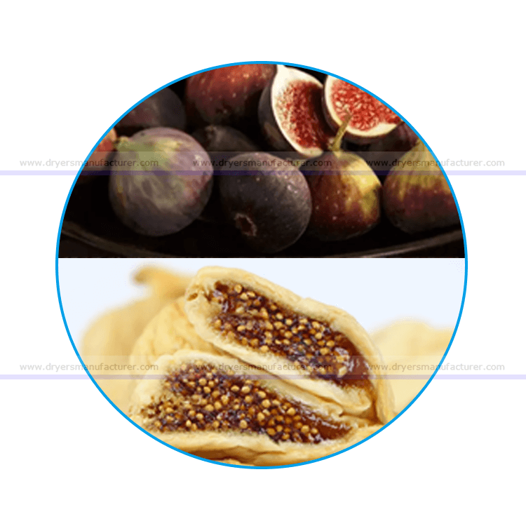 fig dryer fig drying machine,fig dehydrator,fig dehydrating machine,fig ...