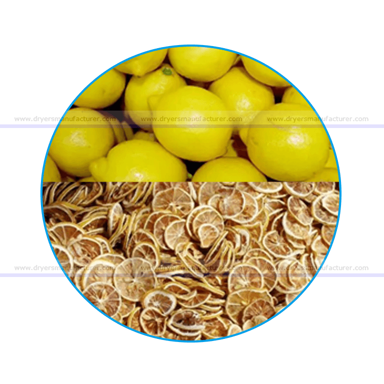 lemon dryer lemon drying machine,lemon dehydrator,lemon dehydrating ...