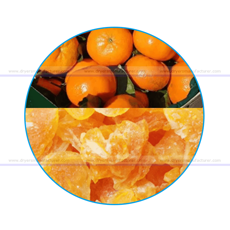 orange dryer orange drying machine,orange dehydrator,orange dehydrating ...