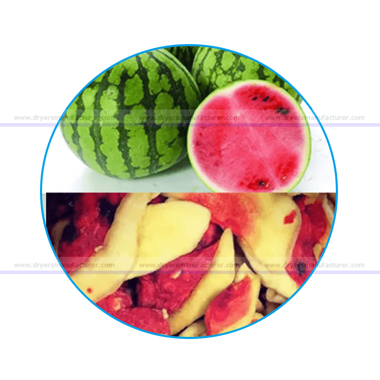 watermelon dryer watermelon drying machine,watermelon dehydrator ...