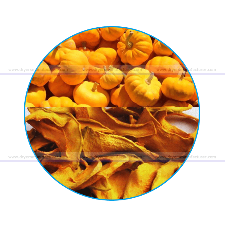 pumpkin dryer,pumpkin drying machine,pumpkin dehydrator,pumpkin ...
