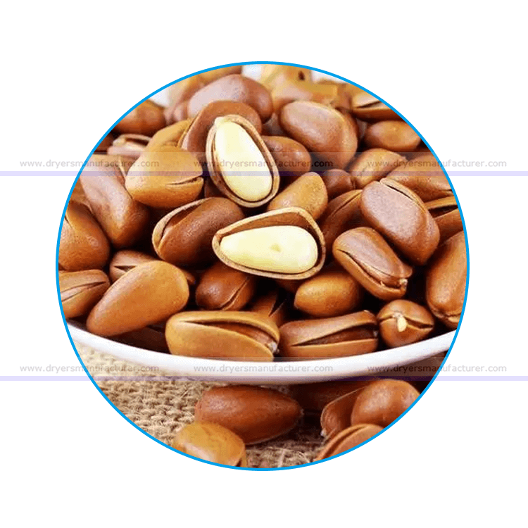 nut dryer nut drying machine,nut dehydrator,nut dehydrating machine,nut ...