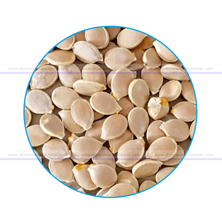 pumpkin seeds dryer pumpkin seeds drying machine,pumpkin seeds ...