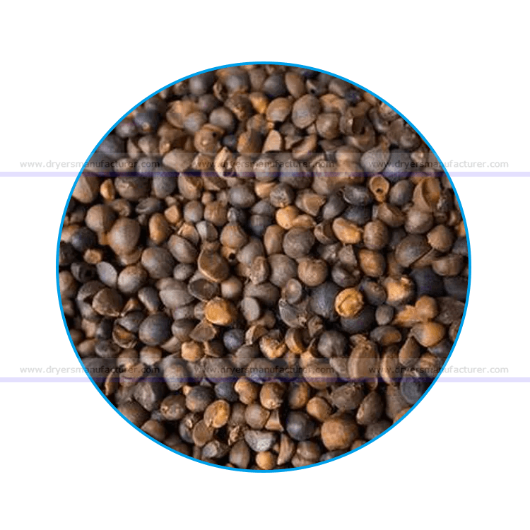 seed dryer seed drying machine, seed dehydrator, seed dehydrating ...