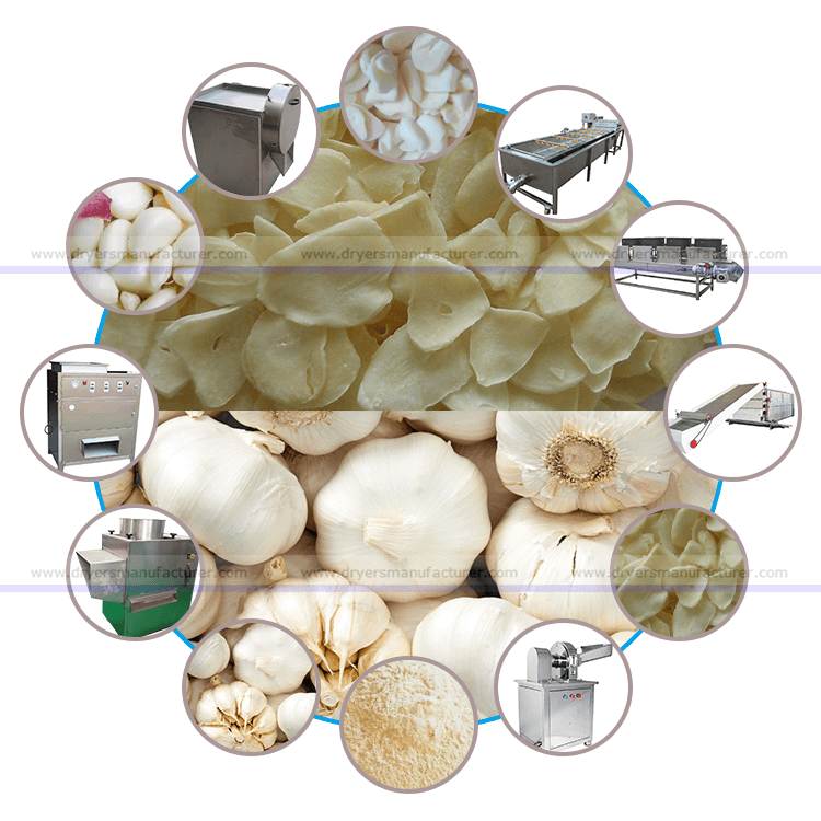 Garlic dryer,Garlic drying machine,Garlic dehydrator,Garlic processing ...
