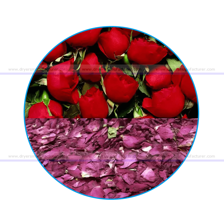 flower dryer flower drying machine,flower dehydrator,flower dehydrating ...