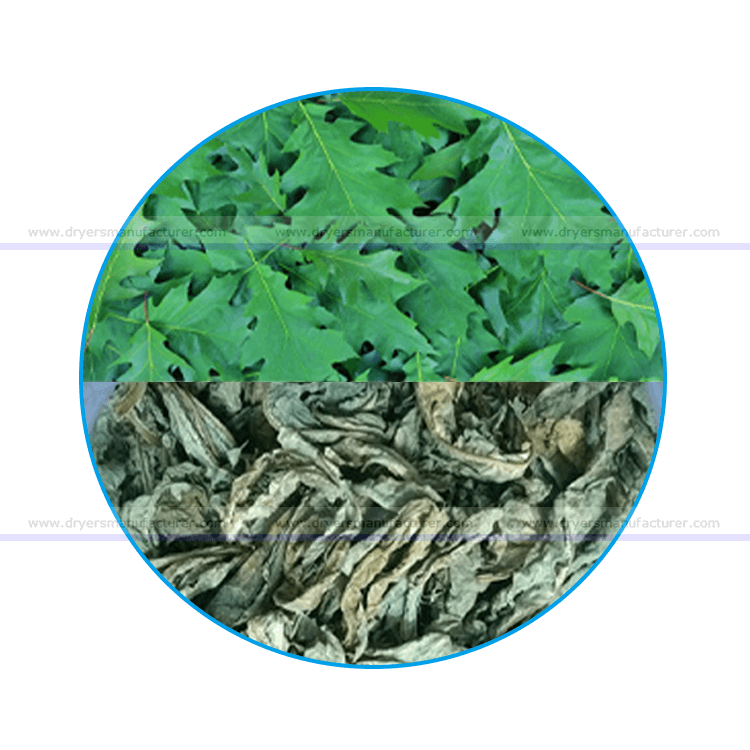 leaf dryer leaf drying machine,leaf dehydrator,leaf dehydrating machine ...